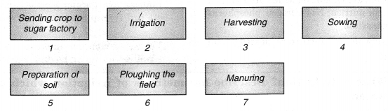 NCERT Solutions for Class 8 Science Chapter 1 Crop Production and ...