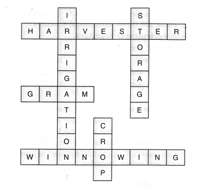 NCERT Solutions for Class 8 Science Chapter 1 Crop Production and ...