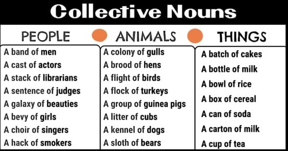 Collective Nouns—Definition, Exercises and Popular Examples