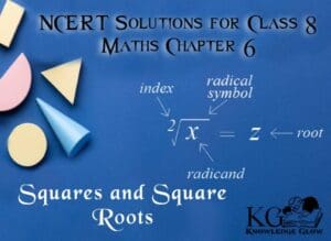 NCERT Solutions for Class 8 Maths Chapter 6 Squares & Square Roots