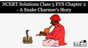 NCERT Solutions Class 5 EVS Chapter 2 - A Snake Charmer's Story ...